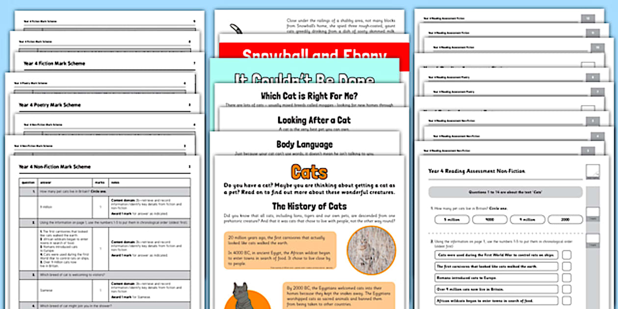 SATs Reading Papers Year 4 | Primary Resources - Twinkl