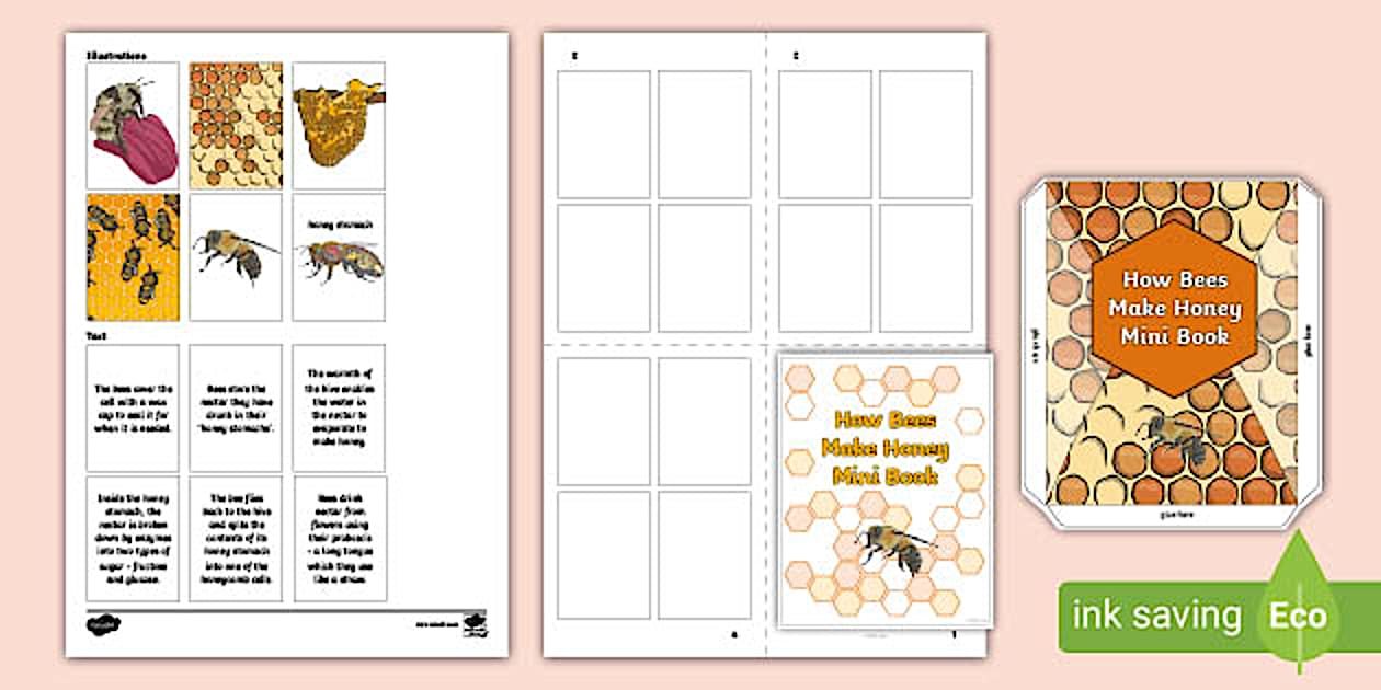 How Bees Make Honey Mini Book (teacher made) - Twinkl