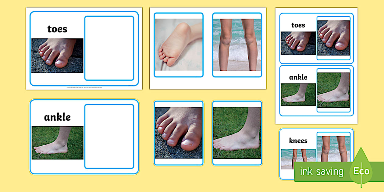 Workstation Pack: Photo to Photo Body Parts Matching Activity Pack