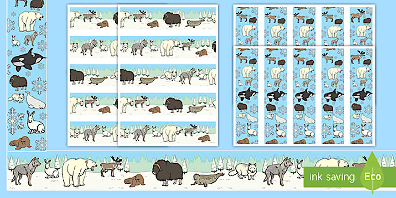Arctic Animal Display Borders (teacher made) - Twinkl