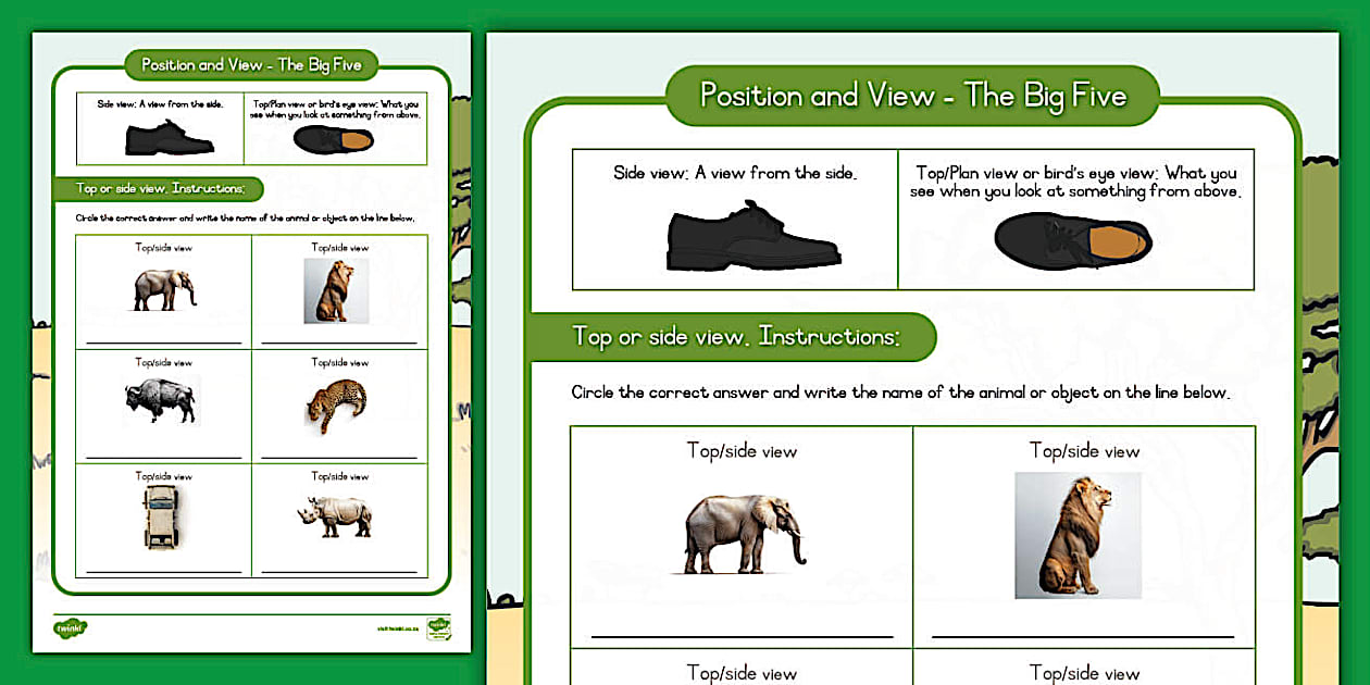 Grade 2 Maths: Position and View: The Big Five - Twinkl