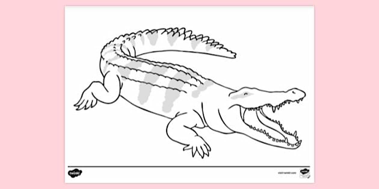 Reptile Colouring Sheet | Colouring Sheets (teacher made)