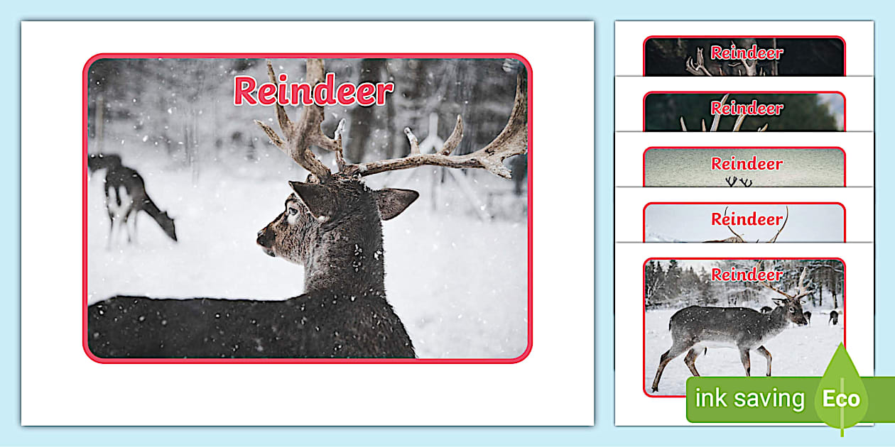 Reindeer Photo Pack