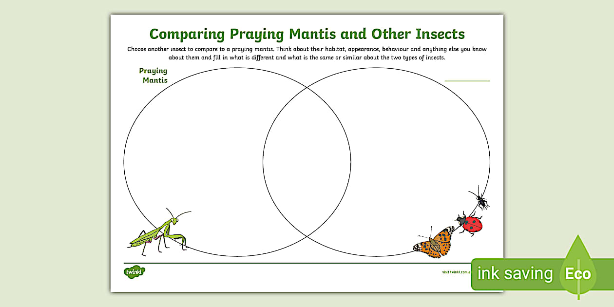 Comparing Praying Mantis and Other Insects Venn Diagram