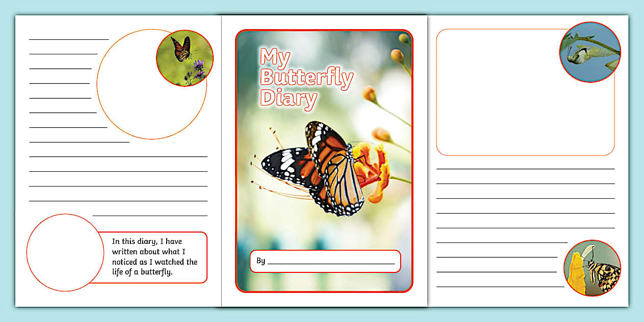 Butterfly Diary Writing Frame (teacher made) - Twinkl