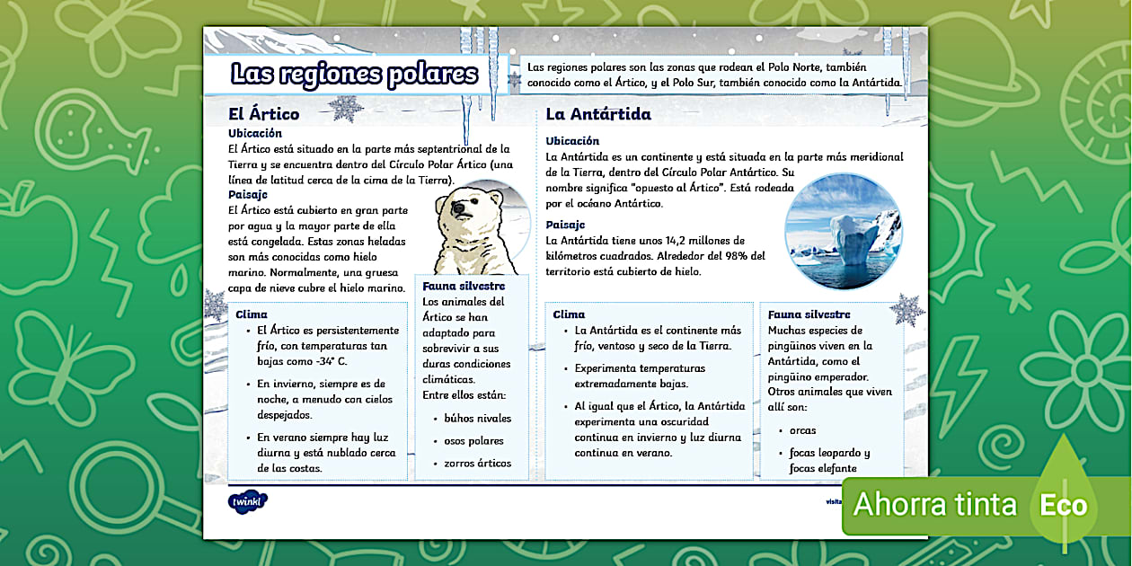 Póster: Regiones polares