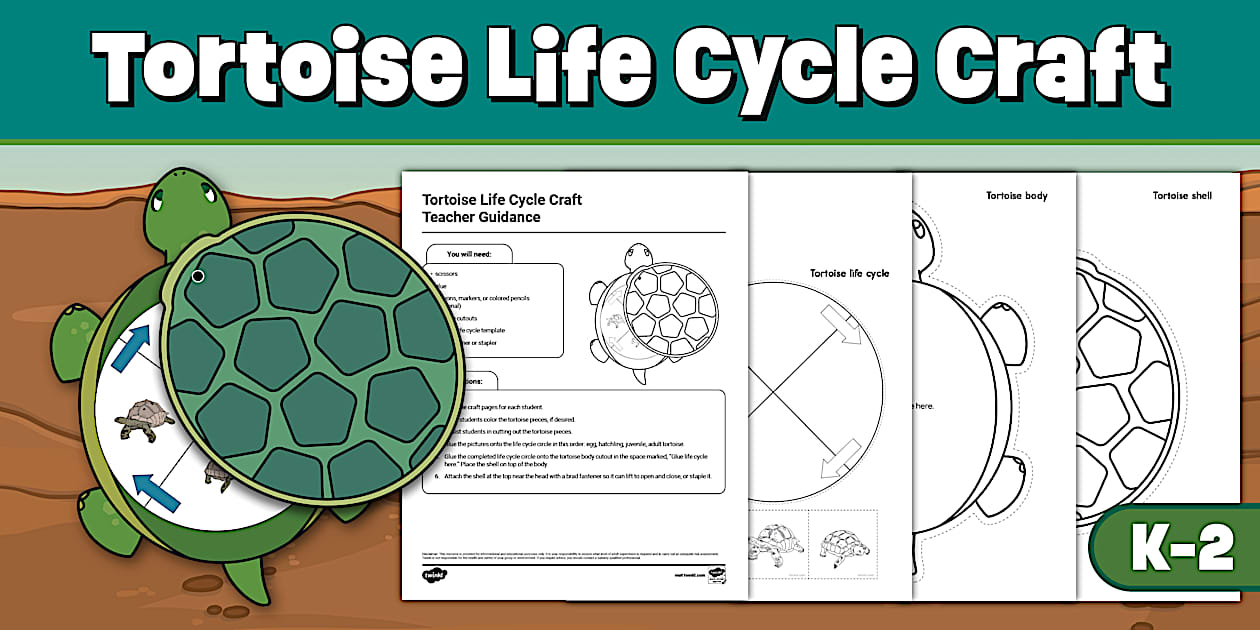 Tortoise Life Cycle Craft for K-2nd Grade