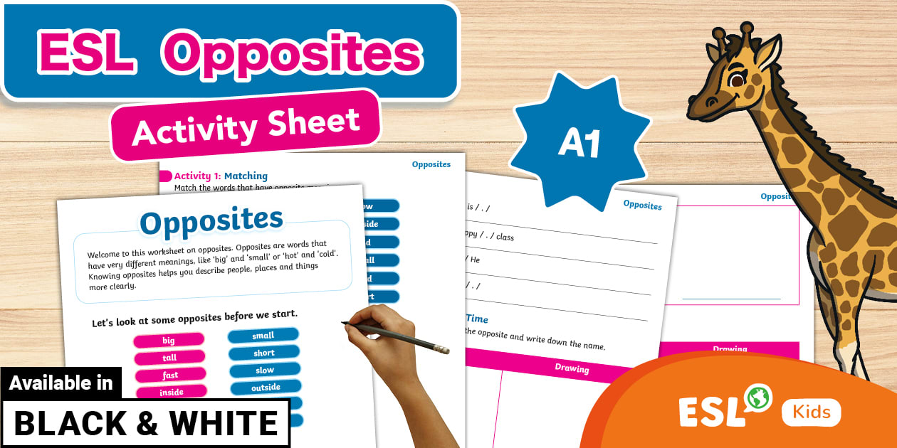 ESL Opposites Activity Sheet [Kids, A1]