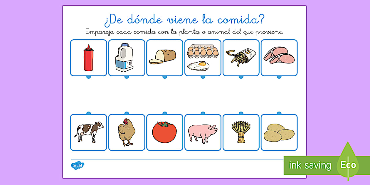 Ficha: ¿De dónde viene la comida? (teacher made) - Twinkl