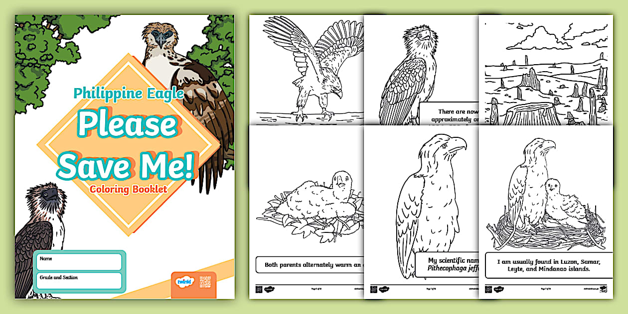 Philippine Eagle Coloring Booklet | Pre-K - Grade 1 | Twinkl