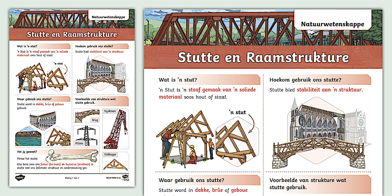 Graad 4 - NW - Stutte en Raamstrukture - Feitelêer - Twinkl