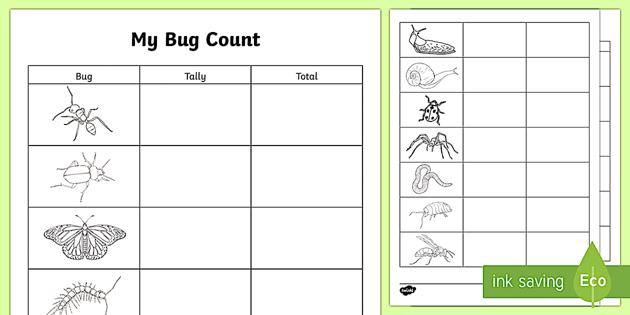 Bugs Worksheet | Maths | Science | NZ Primary Resource