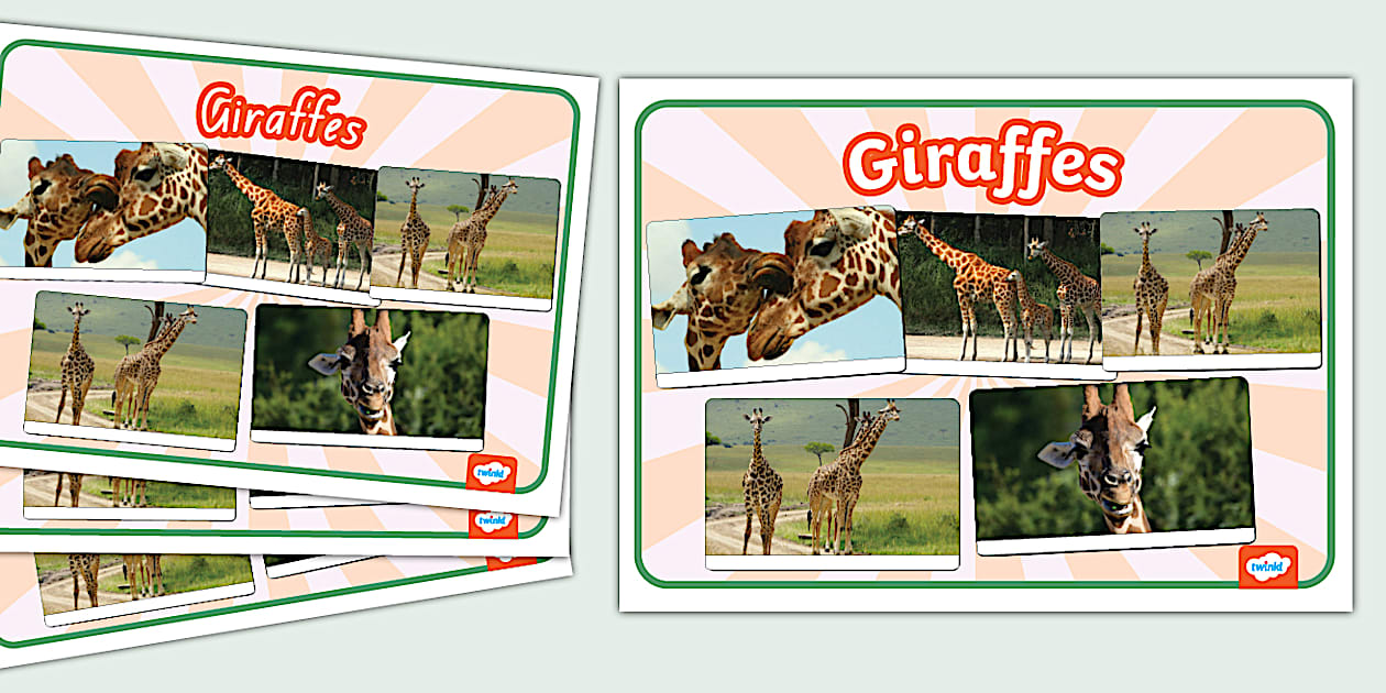 Giraffe Photo Display Poster (Teacher-Made) - Twinkl