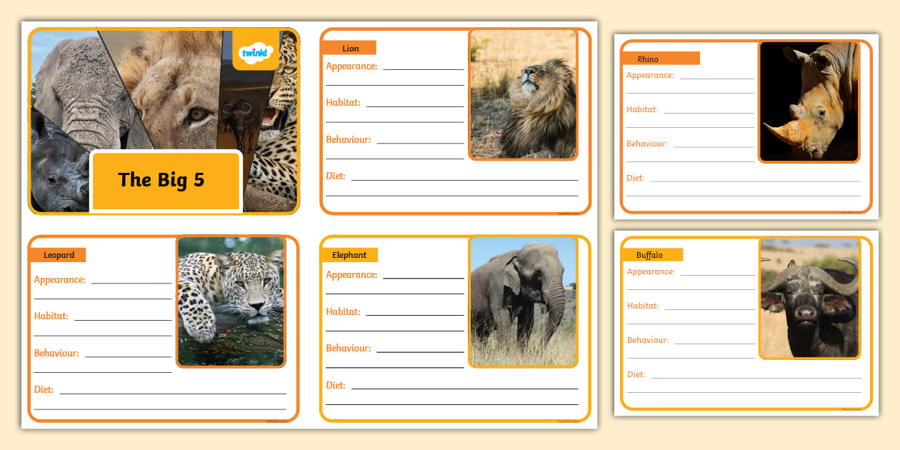 The Big Five Animals Fact Cards Template (teacher made)