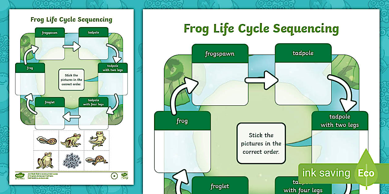 Frog Life Cycle Differentiated Sequencing Activity - Twinkl