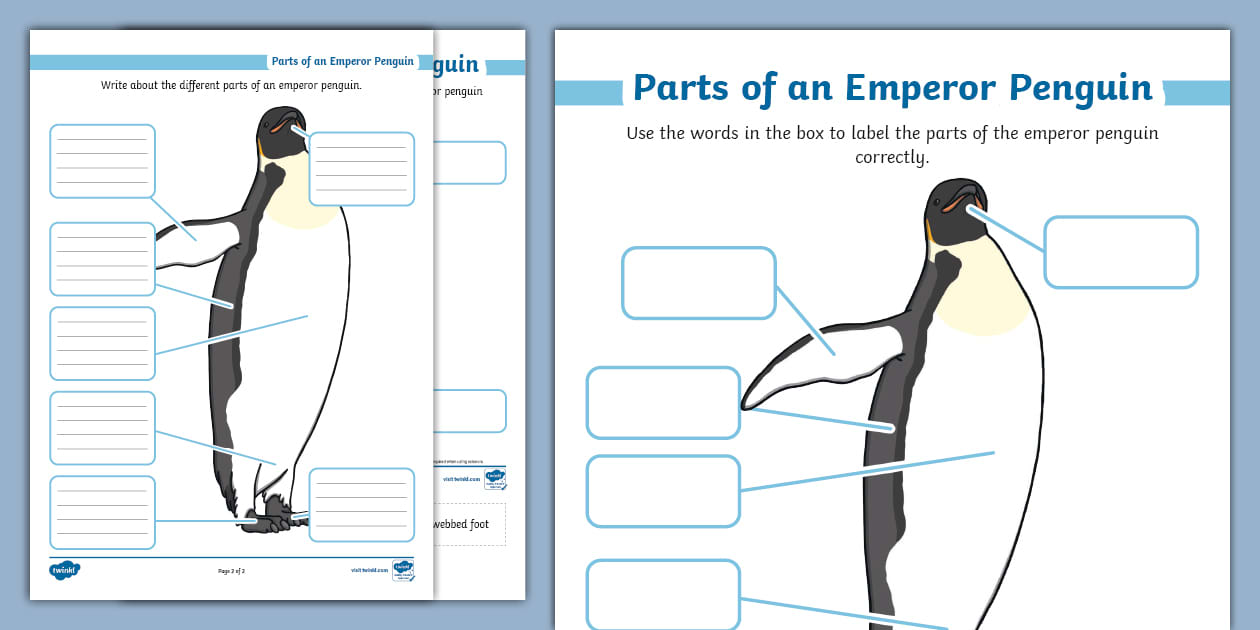 Parts of an Emperor Penguin Labelling Activity - Twinkl