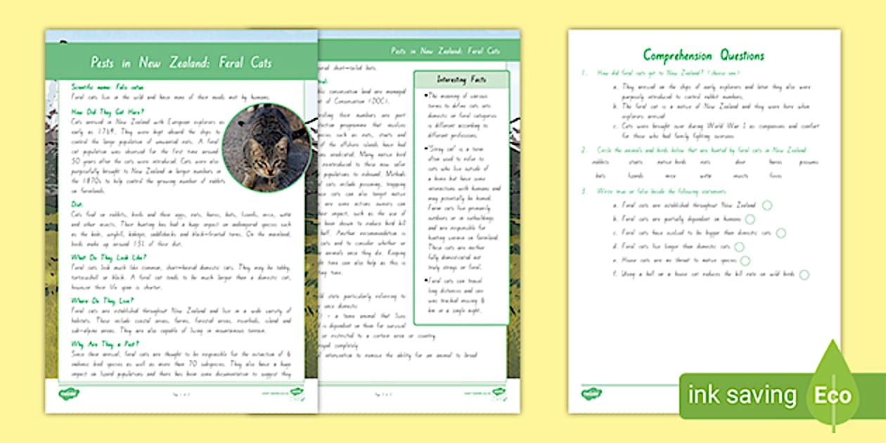 Pests in New Zealand: Feral Cats Fact File - Twinkl