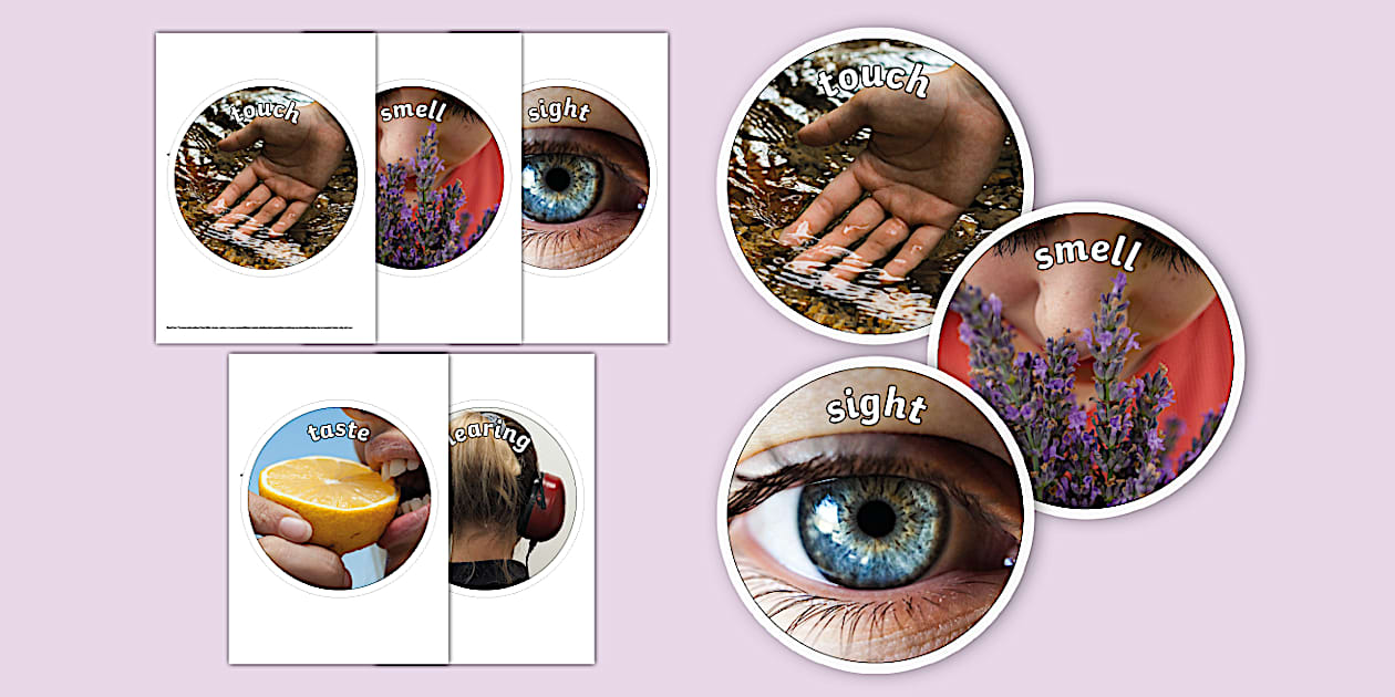 My Senses Circle Photo Display Cut-Outs (teacher made)