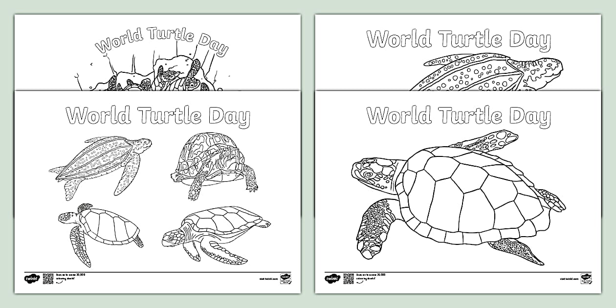 World Turtle Day Colouring Pages (teacher made) - Twinkl