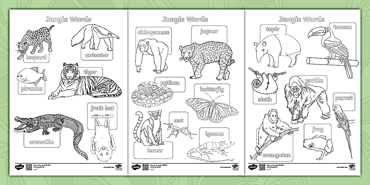 Jungle Words Colouring Sheets - Twinkl Colouring - Twinkl