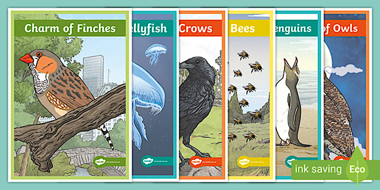 Collective Nouns Animal Posters (Teacher-Made) - Twinkl