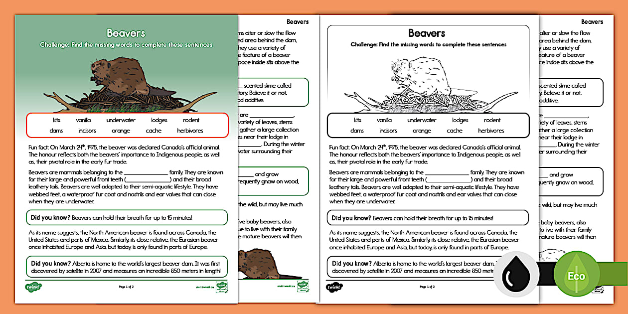 North American Beavers Cloze Activity (teacher made)