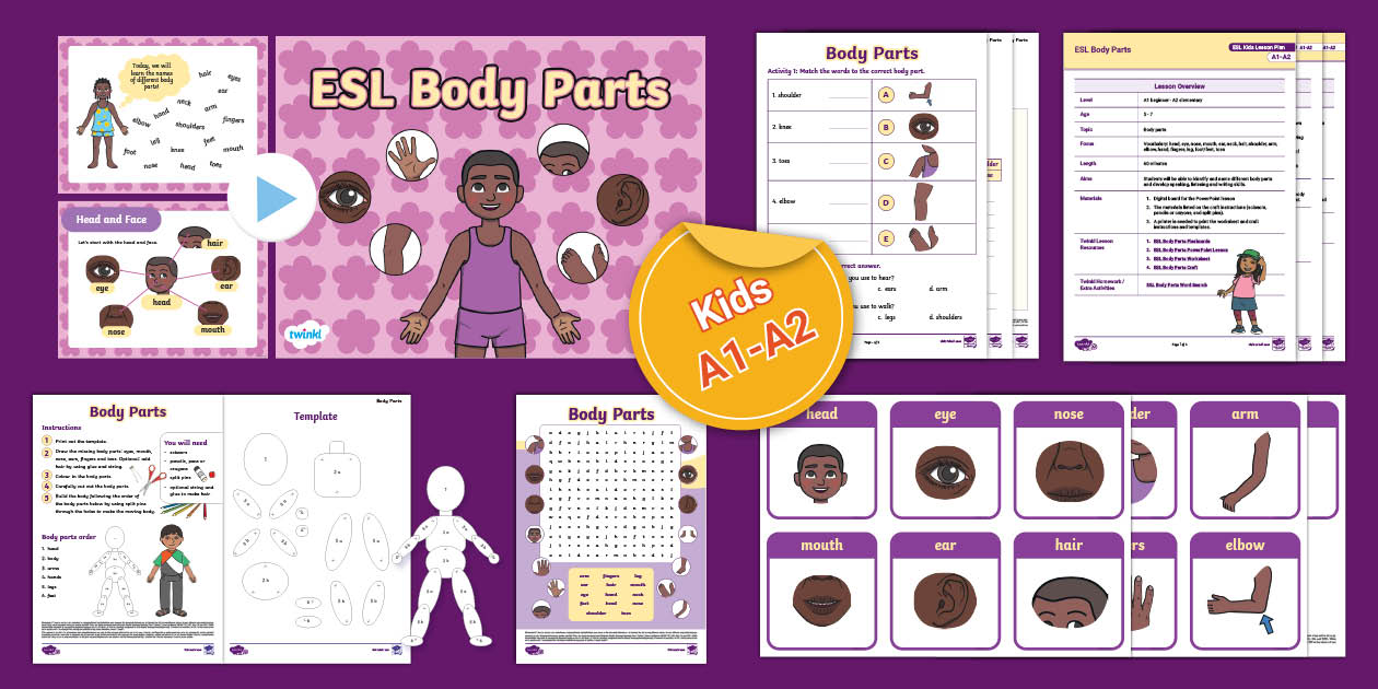Body Parts Lesson Plan for ESL [Kids, A1-A2] | Twinkl