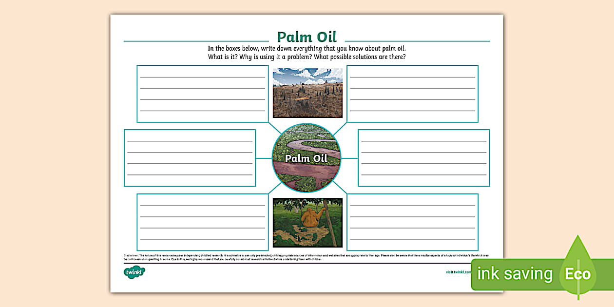 Palm Oil Mind Map (teacher made) - Twinkl