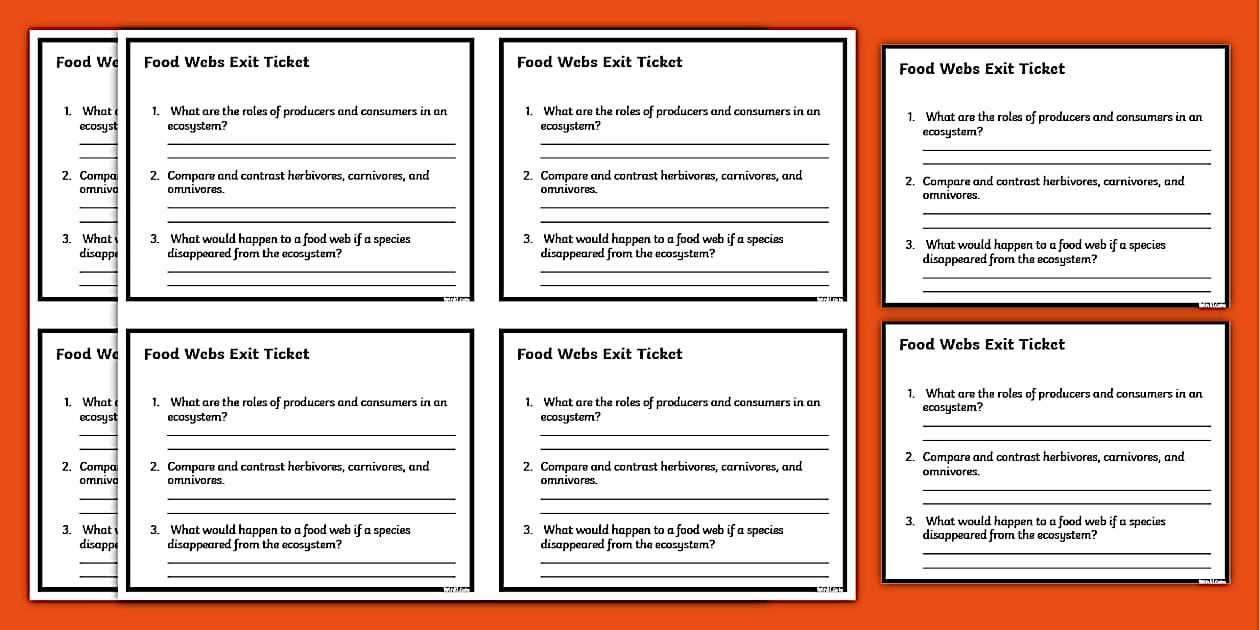 Food Webs Science Exit Ticket for 6th-8th Grade - Twinkl