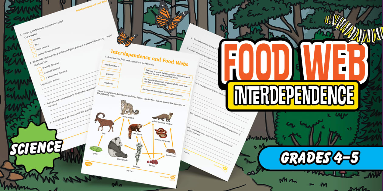 The Interdependence of Food Webs Worksheet for 4th-5th Grade