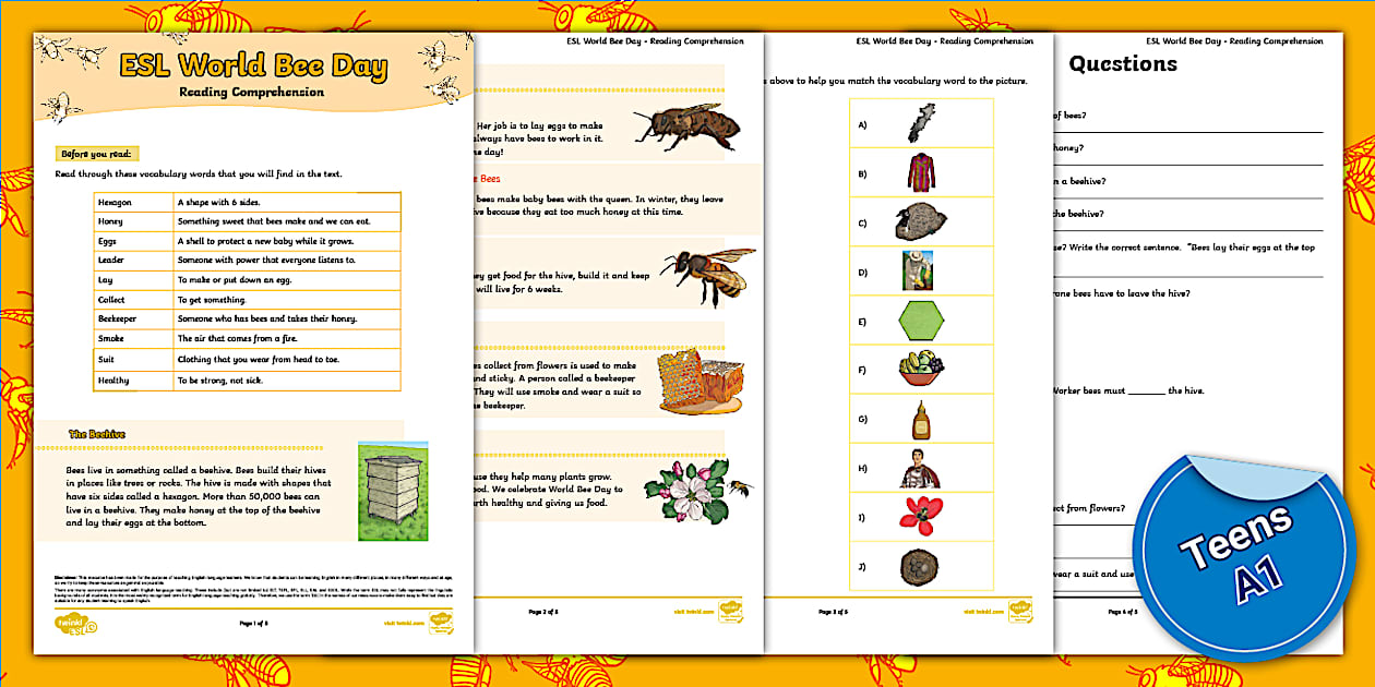 ESL World Bee Day Reading Comprehension [Teens, A1] - Twinkl
