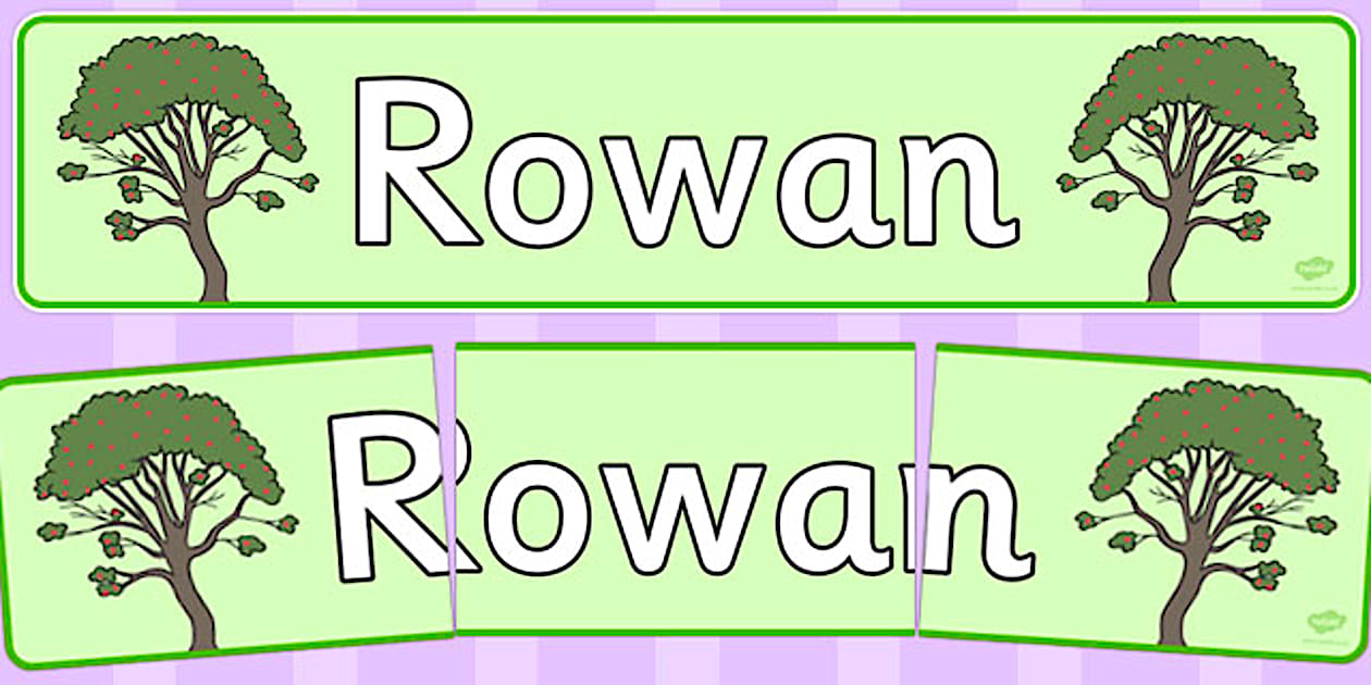 Cursive Rowan Display Banner (teacher made) - Twinkl