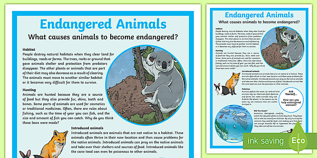 Endangered Animals Causes Display Poster - AC9S4U01 - Twinkl
