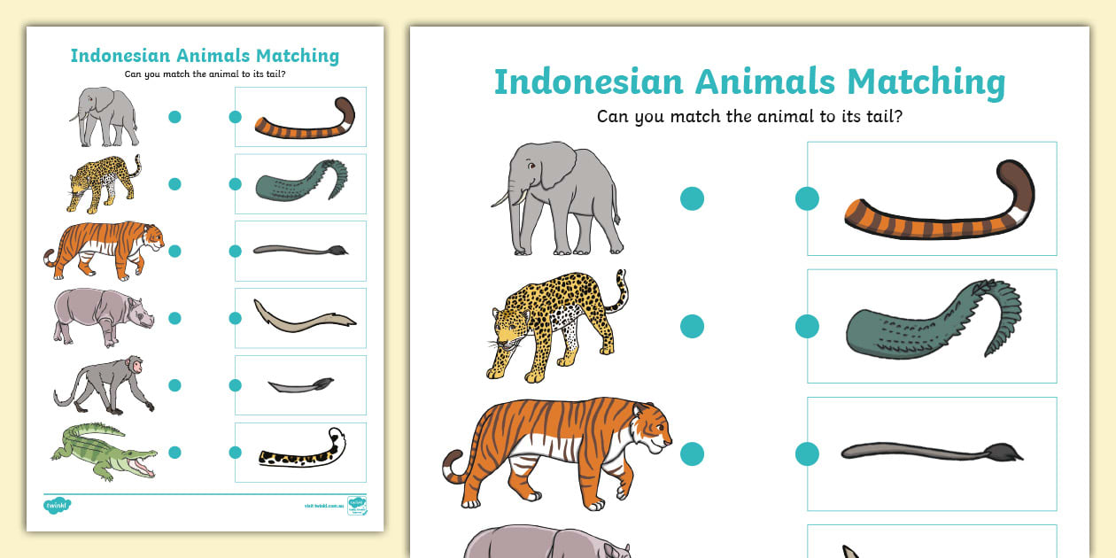Indonesian Animal Tails Matching Activity - Twinkl
