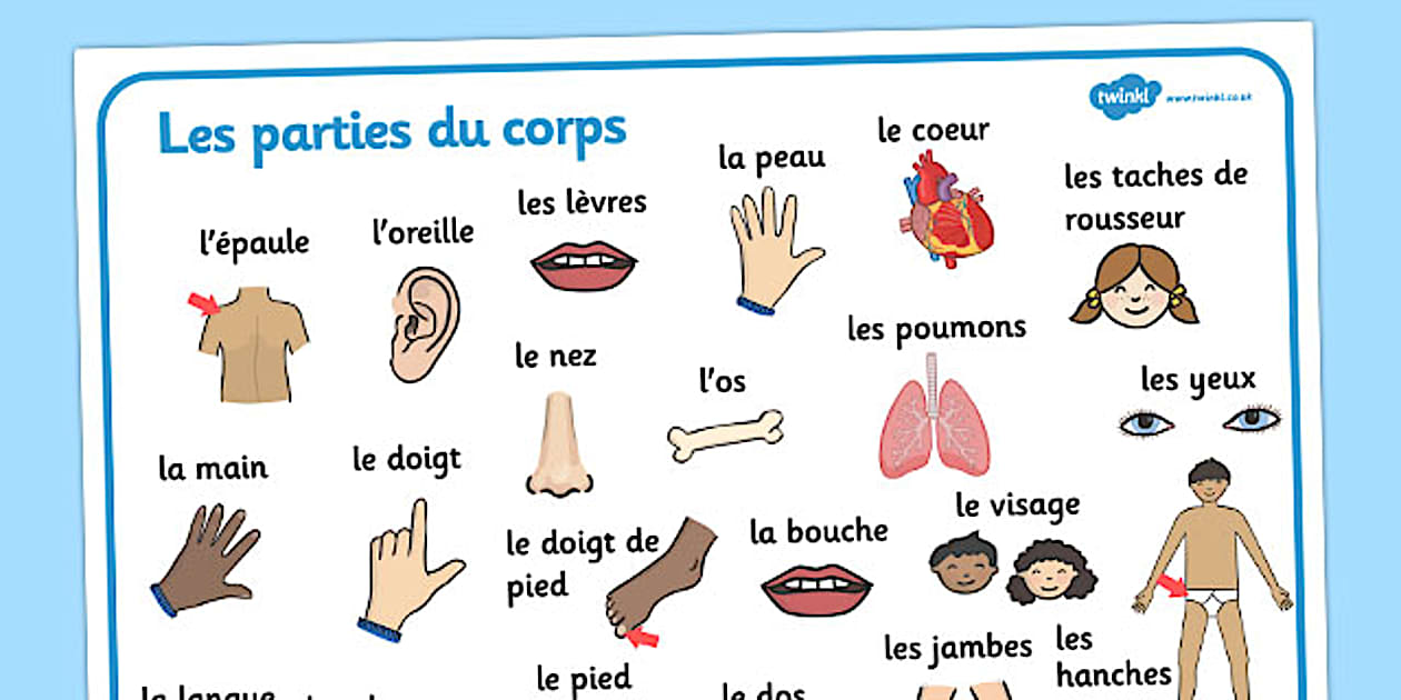 Parties Du Corps Word Mat French (teacher made) - Twinkl