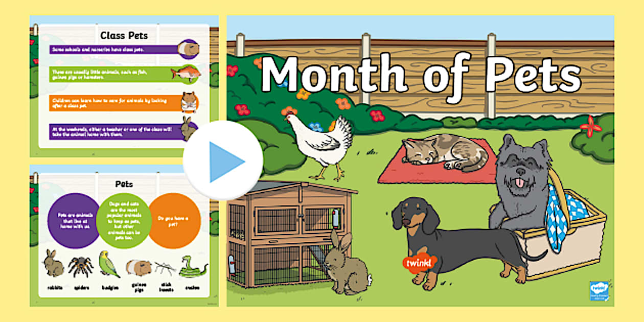 EYFS All about Month of Pets Information PowerPoint - Twinkl