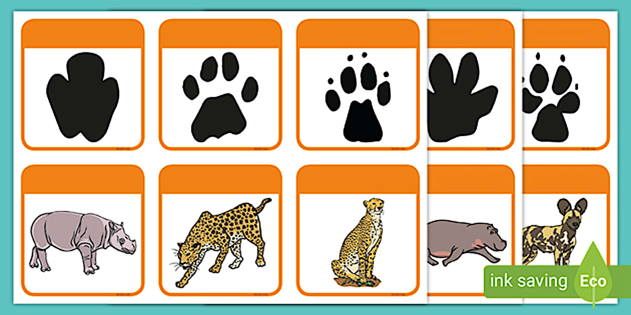 African Animal Footprint Matching Game (teacher made)