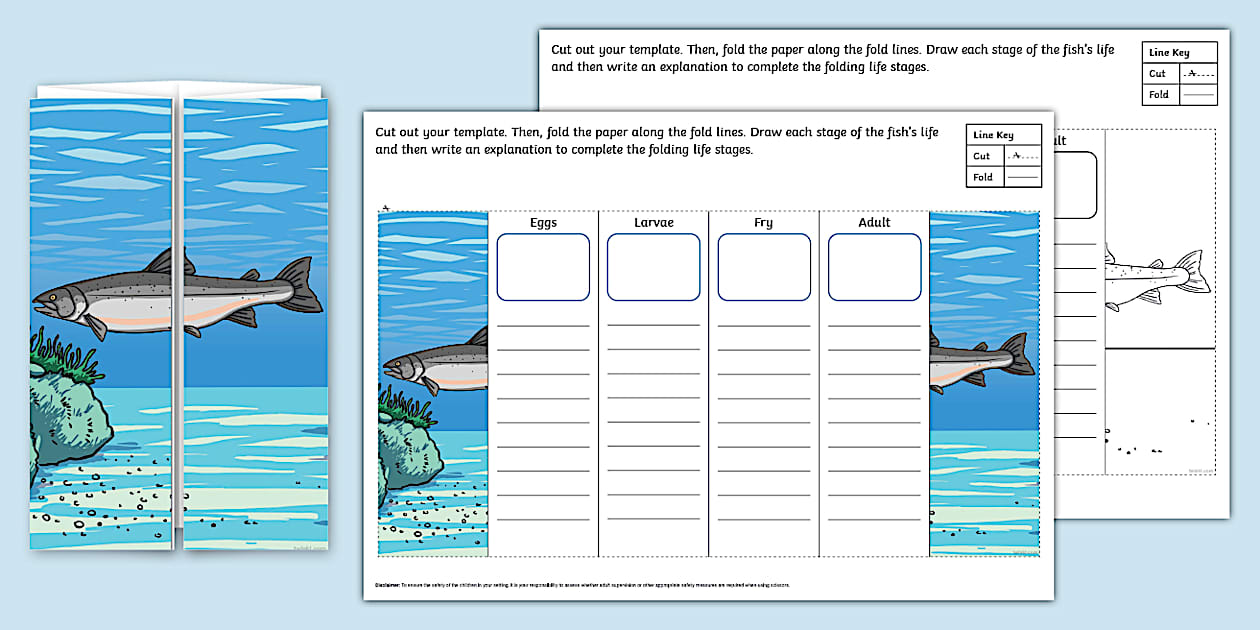 Fish Folding Life Stages Template (teacher made) - Twinkl