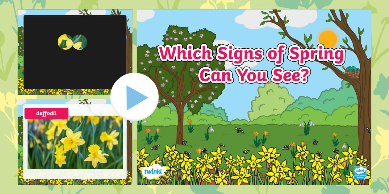 Which Signs of Spring Can You See? PowerPoint - Twinkl