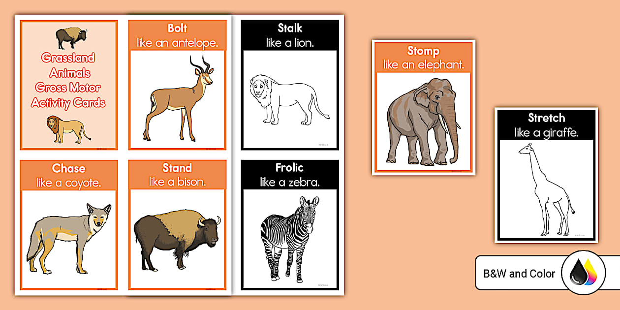Grassland Animals Gross Motor Activity Cards (teacher made)