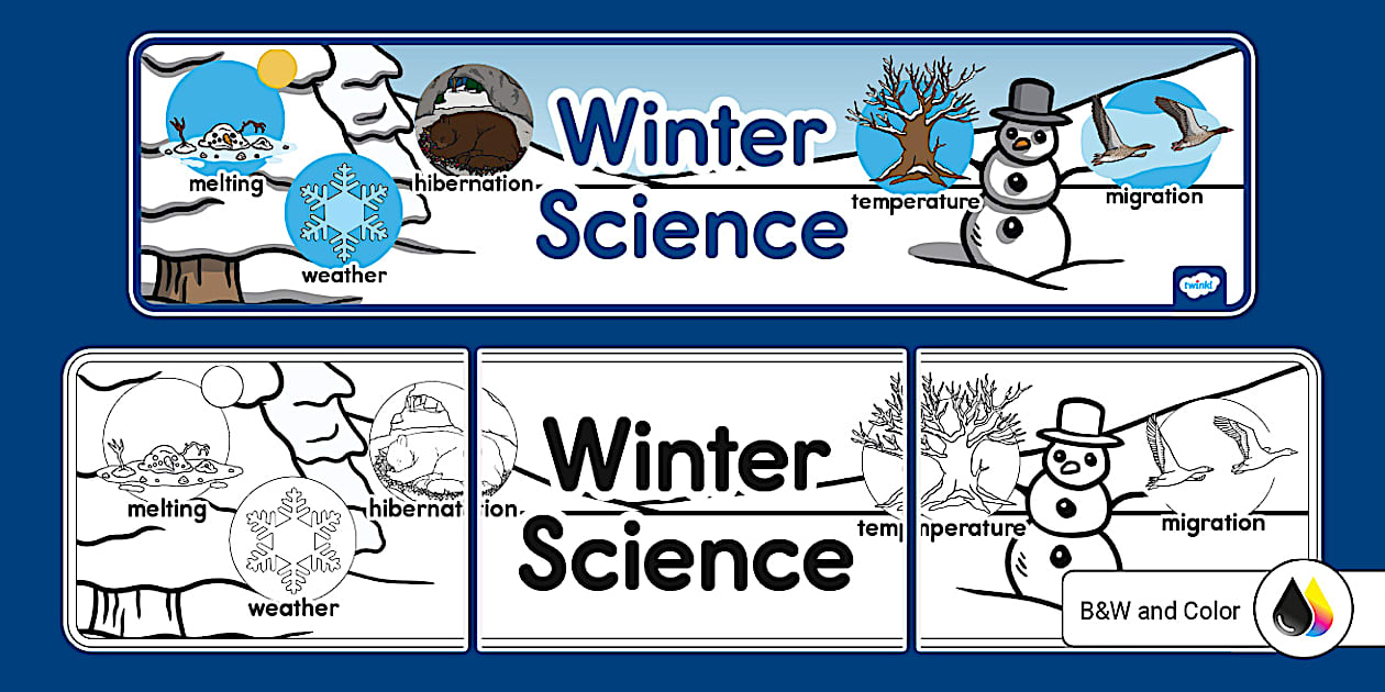 Winter Science | Winter Resource | Twinkl USA (Teacher-Made)