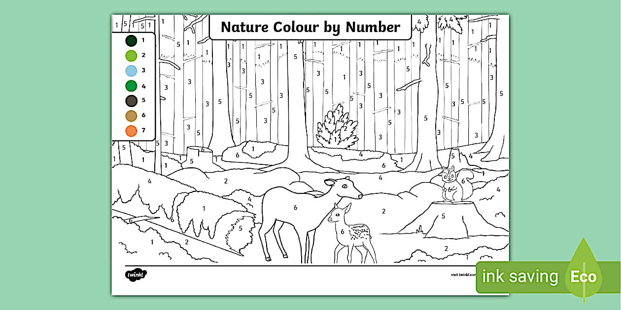 Nature Colour-by-Number Worksheet | Twinkl | Colouring | KS1