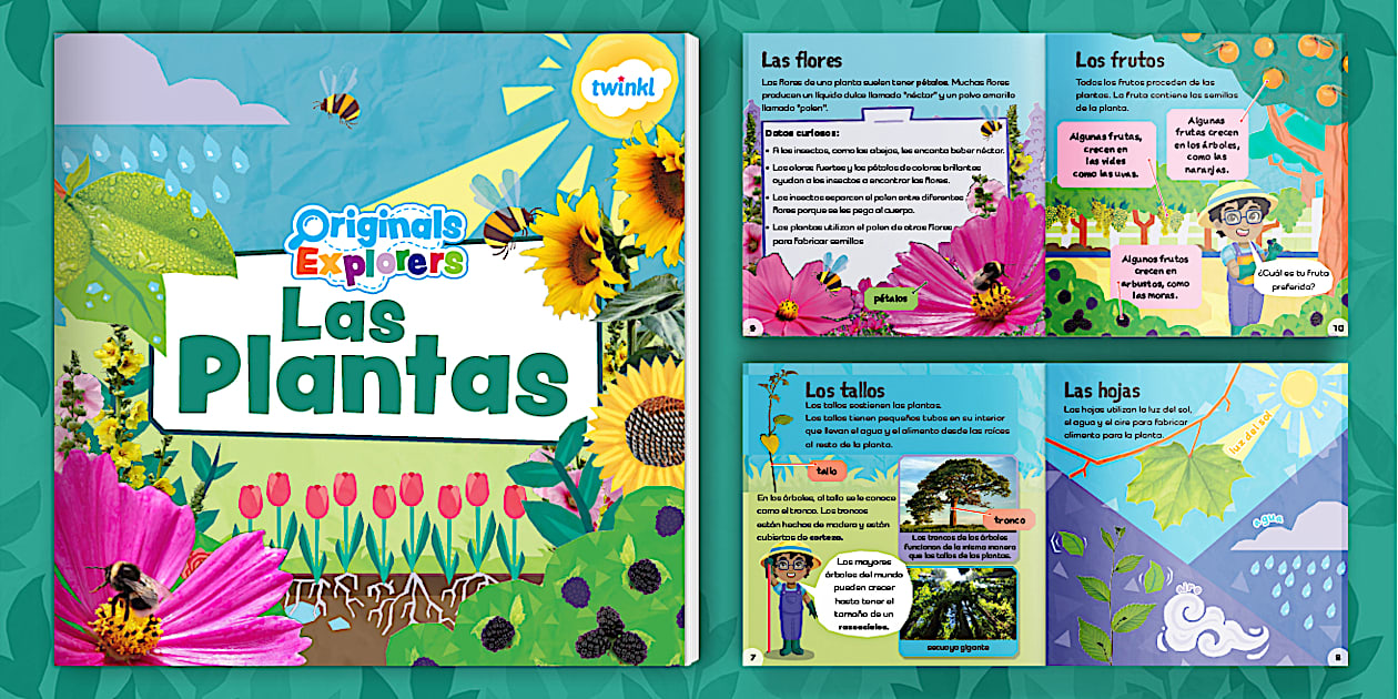 Ebook: Las plantas - Originals Explorers (professor feito)