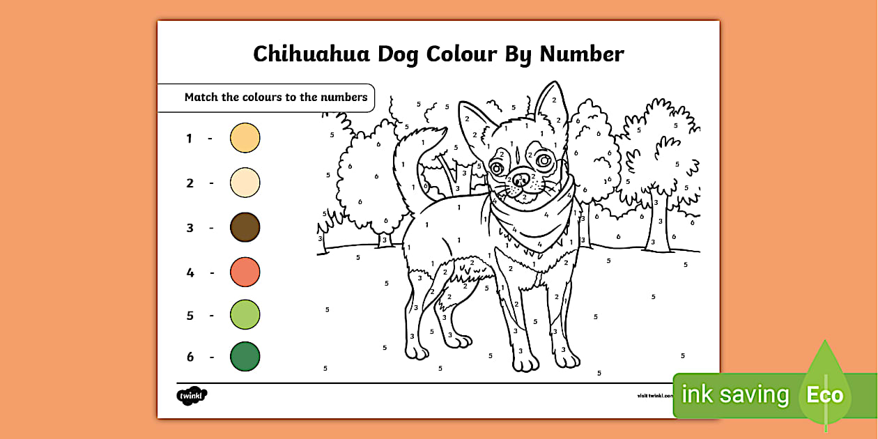 Chihuahua Dog Colour By Number (teacher made) - Twinkl