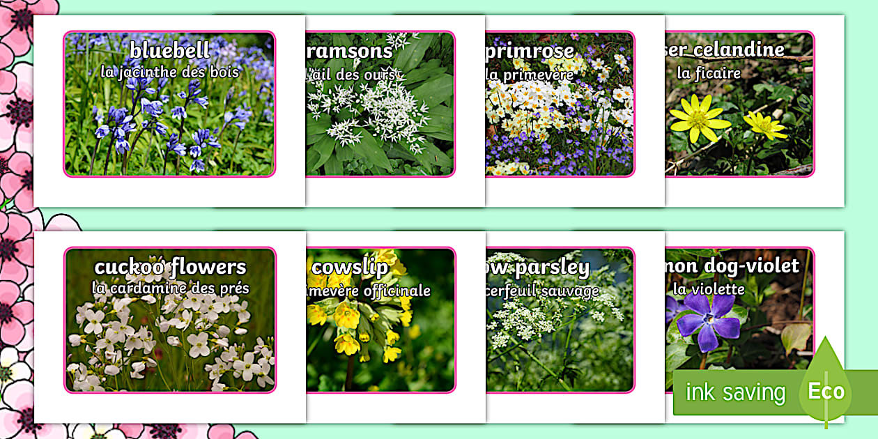 Springtime Flowers Display Photos English/French - Twinkl