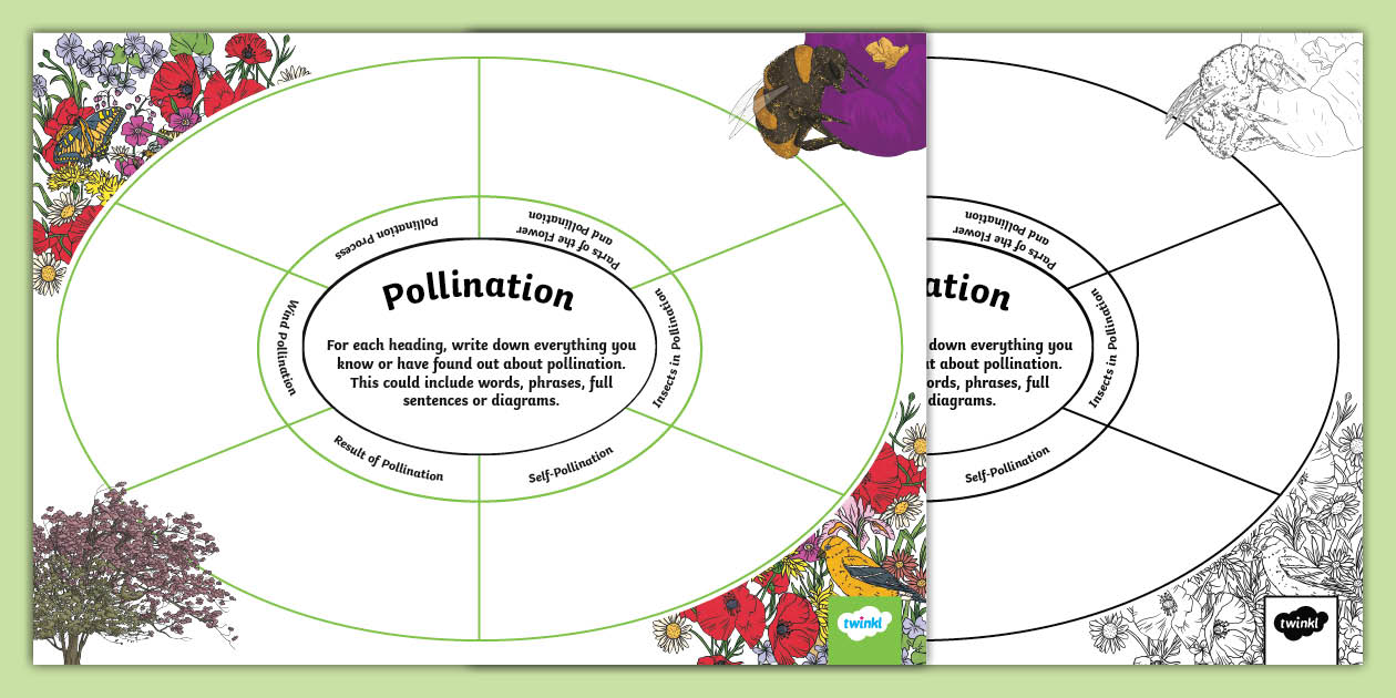 Pollination Around the Table - Twinkl Science - Twinkl