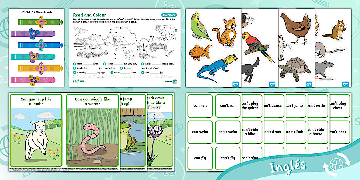 Pack de Recursos | Unidad 2 | 3° Básico | Inglés | Natural