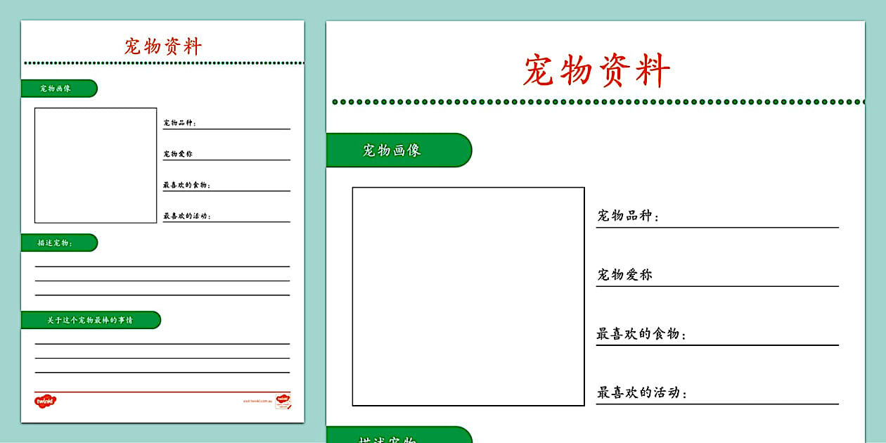 *Chinese version Pet Profile* (teacher made) - Twinkl