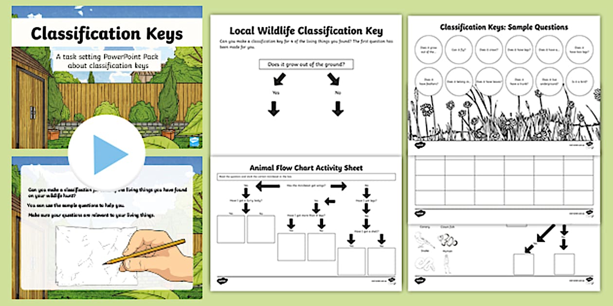 Classification Keys Powerpoint Differentiated Lesson Teaching Pack