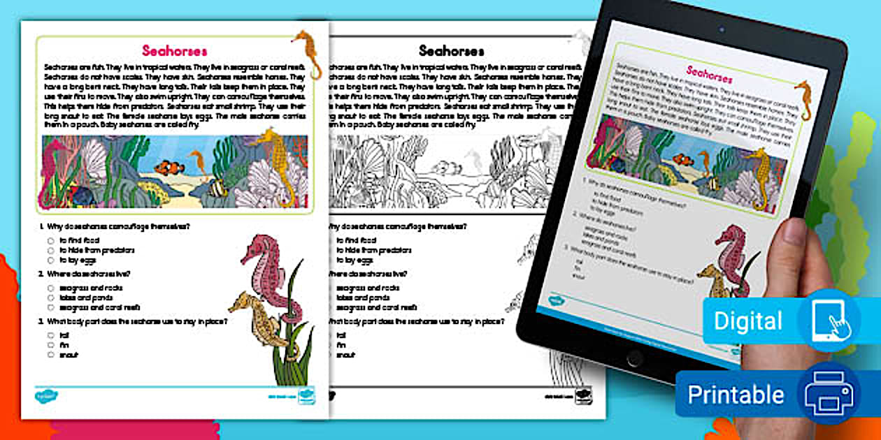 Seahorse Reading Passage Comprehension Activity | Twinkl USA